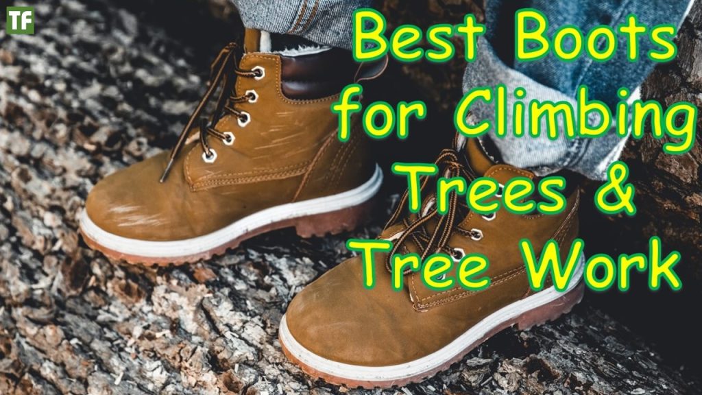 Best Boots For Climbing Trees & Tree Work [Reviews] - Traci Falbo Ultra ...